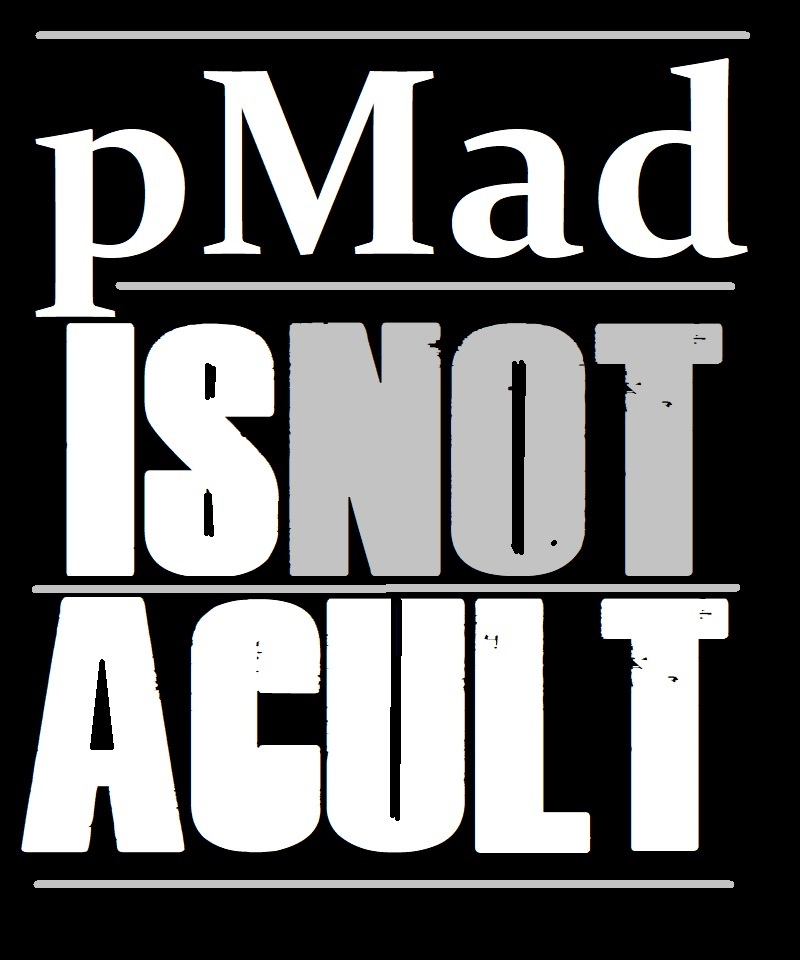 pMad - Who Why Where What - MangoWave Magazine